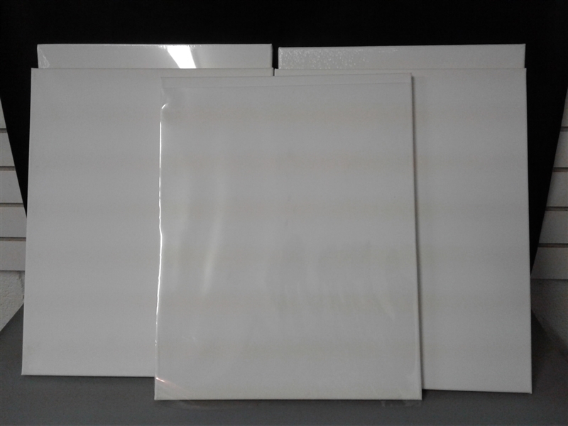 Lot Detail - 16 x 20 inch Stretched Canvas Super Value 5-Pack Lot Detail - 16 x 20 inch Stretched Canvas Super Value 5-Pack